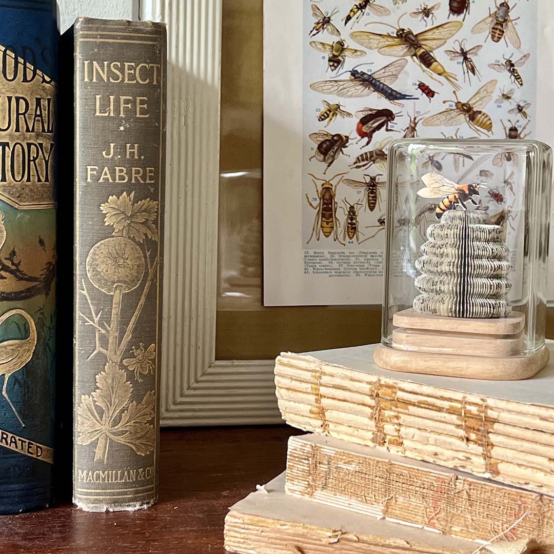 QUEEN BEE - MINI - foolhouse